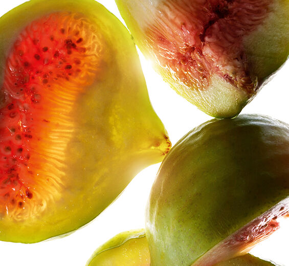Fig Tree | CLARINS®