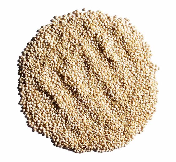 Quinoa | CLARINS®