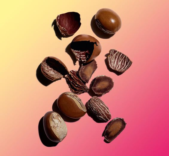 Shea Tree | CLARINS®