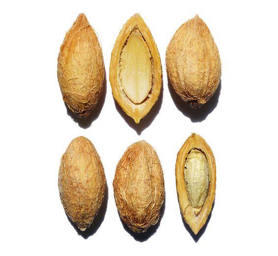 Desert Date | CLARINS®